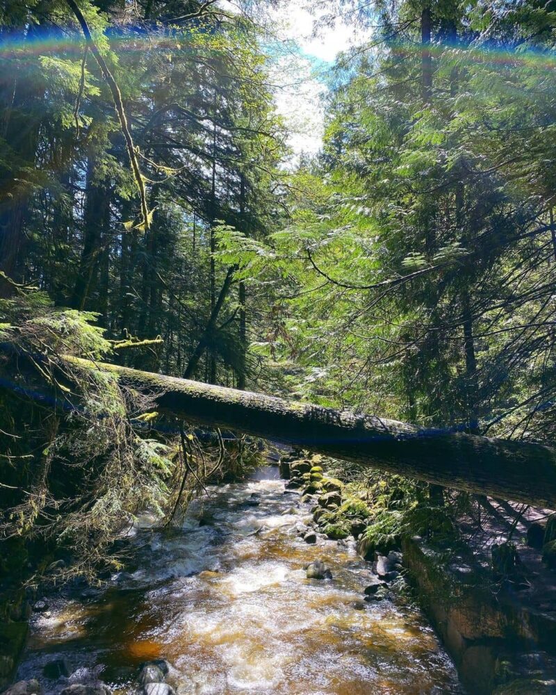 10 Mind-Blowing Hidden Gems in Vancouver Only Locals Know