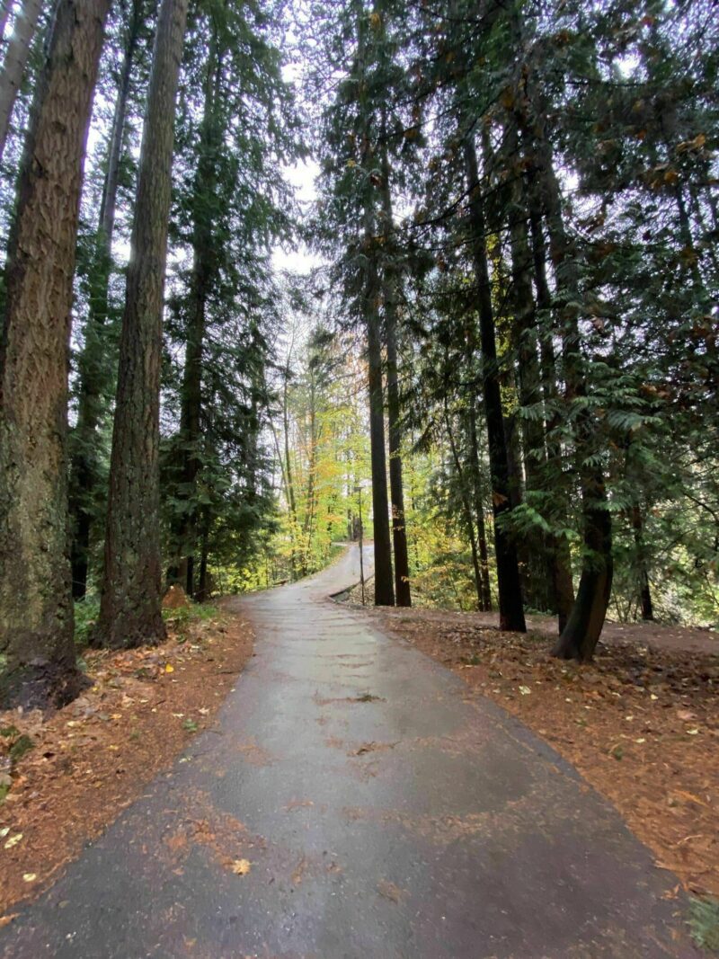 18 Fun Things to Do in Burnaby to Explore Like a Local