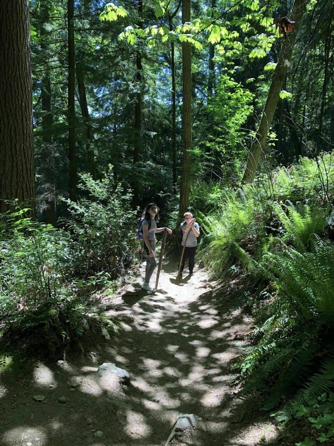 10 Best Burnaby Trails For An Easy Day Out In Nature