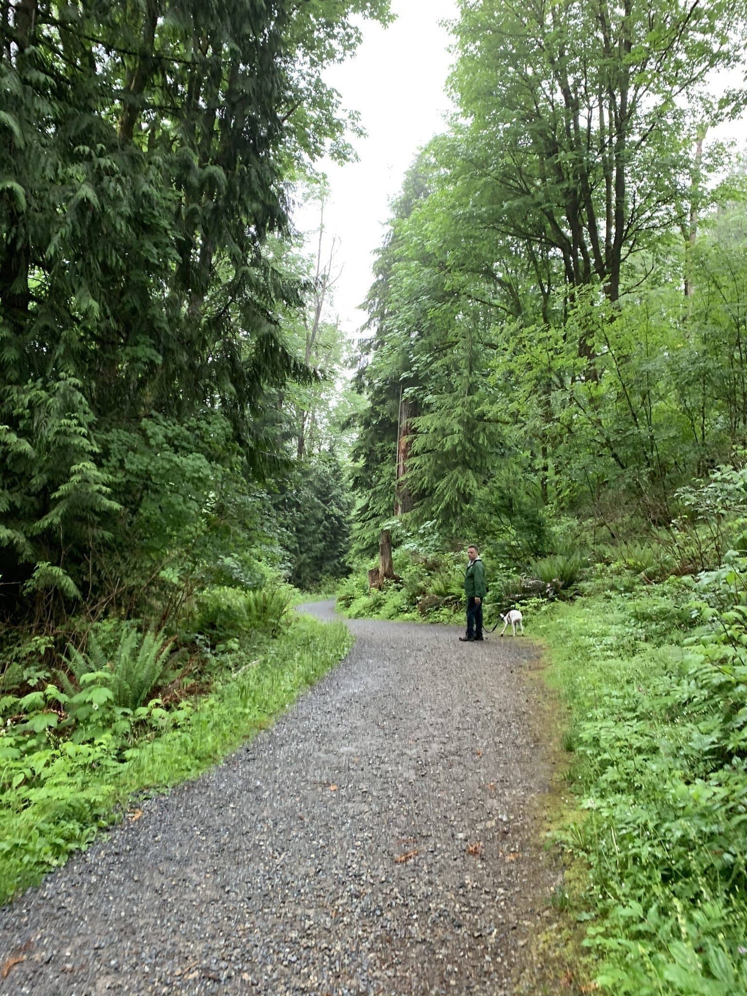 10 Best Burnaby Trails For An Easy Day Out In Nature