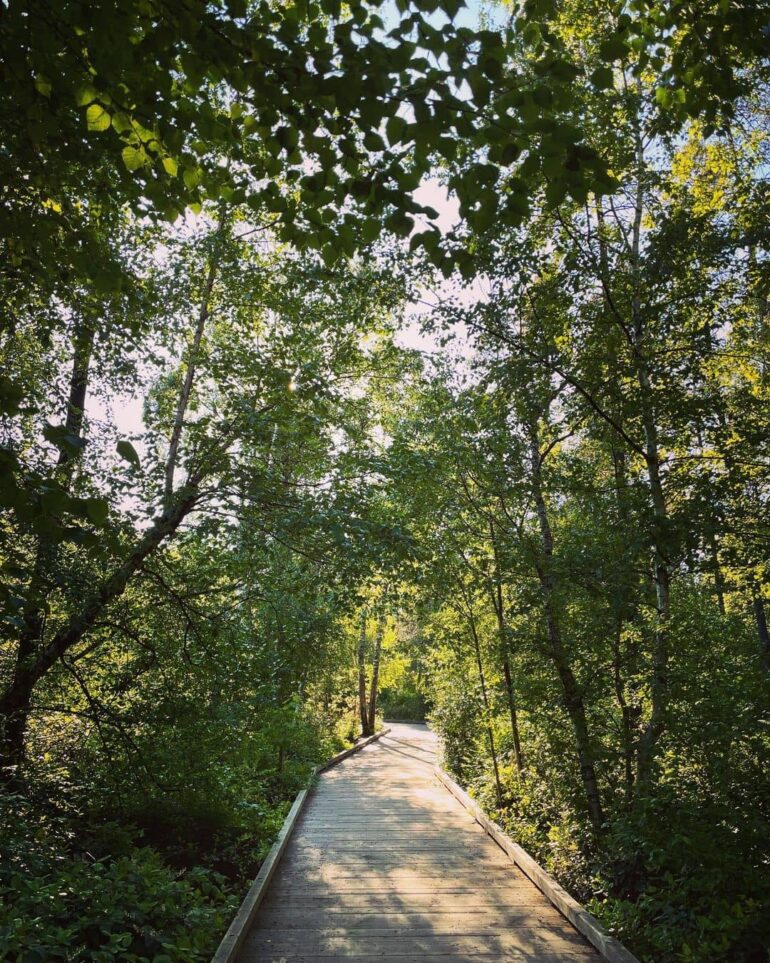 10 Best Richmond Trails For A Scenic Walk, Run Or Hike (With Maps)