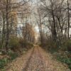 10 Best Richmond Trails For A Scenic Walk, Run Or Hike (With Maps)