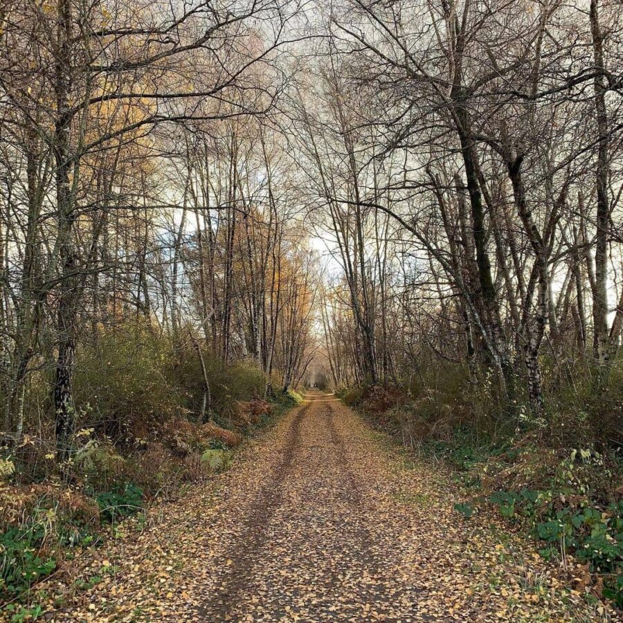 10 Best Richmond Trails For A Scenic Walk, Run Or Hike (With Maps)