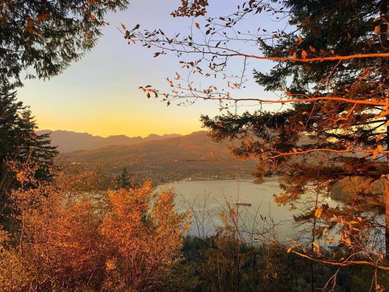 9 Best Spots To See Fall Foliage In Vancouver