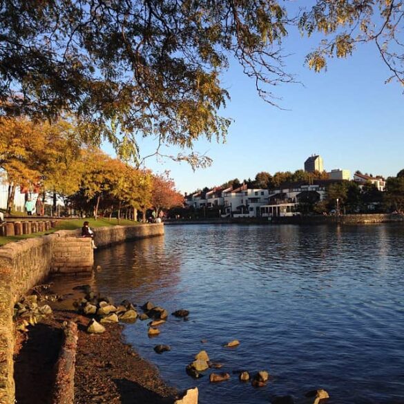 9 Best Spots To See Fall Foliage In Vancouver