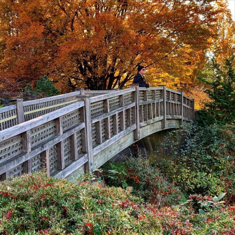 9 Best Spots To See Fall Foliage In Vancouver