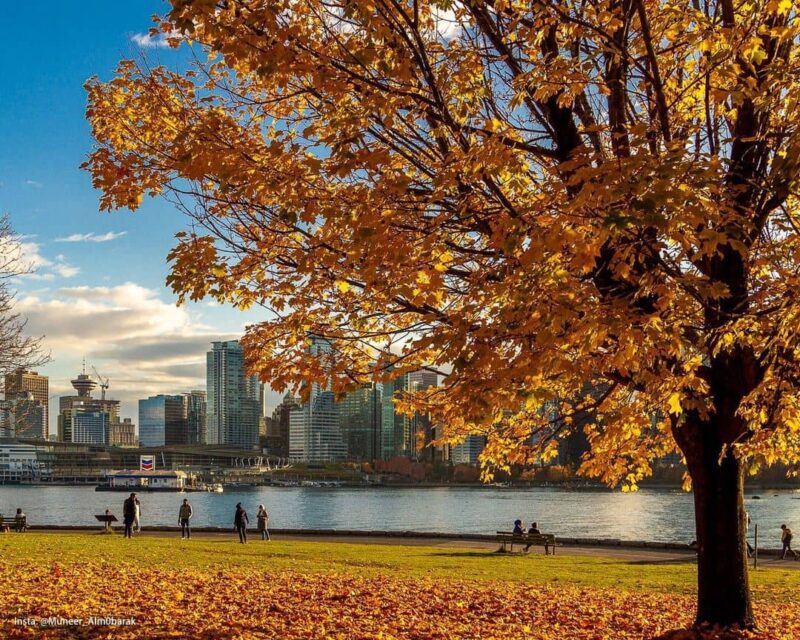 9 Best Spots To See Fall Foliage In Vancouver