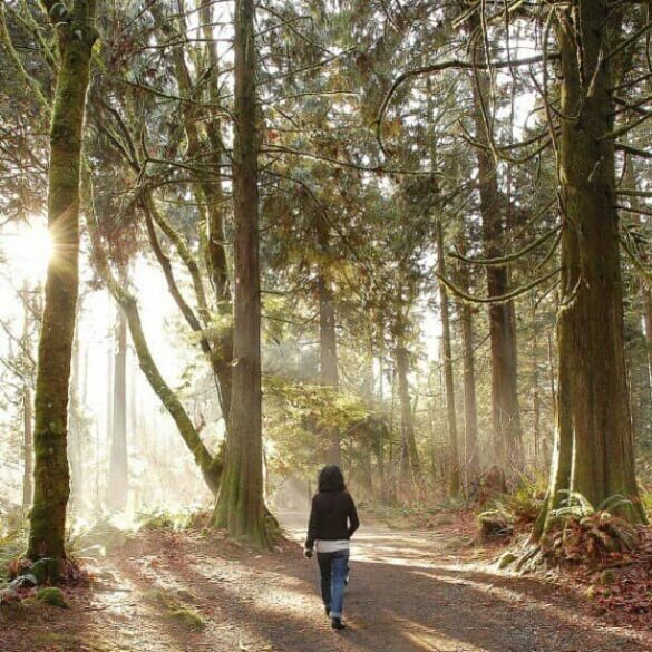 10 Coquitlam Parks To Hike, Spot Wildlife, and Go Picnicking