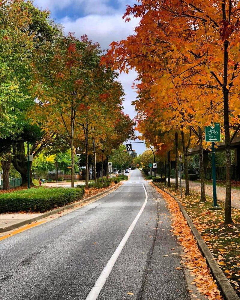 18 Fun Things to Do in Burnaby to Explore Like a Local