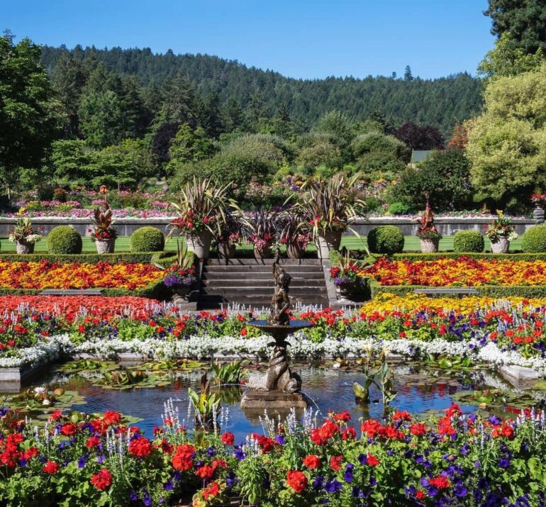 50+ Exciting Things to Do in Victoria, BC All Year Round