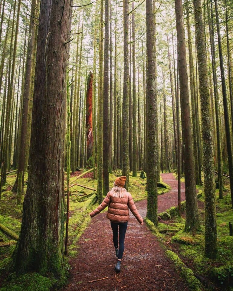 Golden Ears Provincial Park | Things To Do & See | Vancouver Food Blog