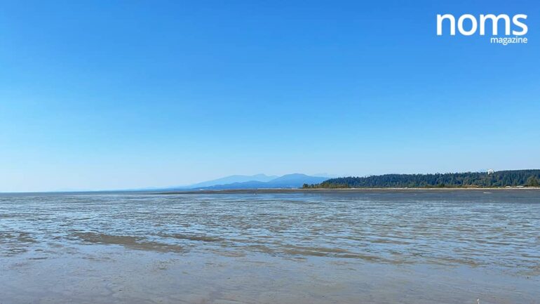 Iona Regional Beach Park | Things to do & see | Vancouver Food Blog