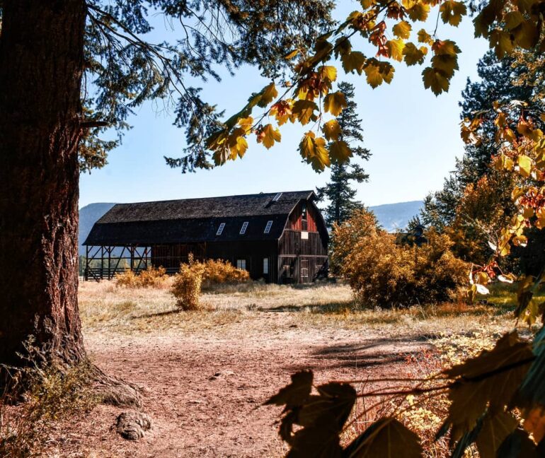 6 Best Kelowna Campgrounds For A Nature-Filled Getaway in 2024