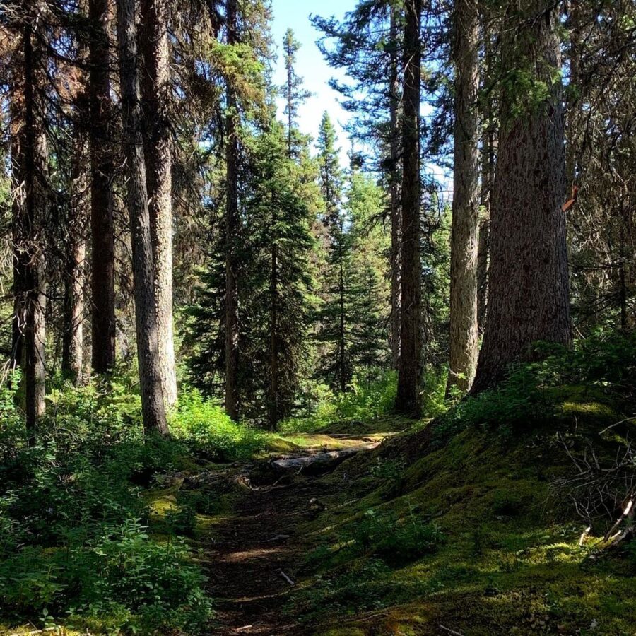 60 Best Things to Do in Banff During Summer, Winter, and Year-Round ...