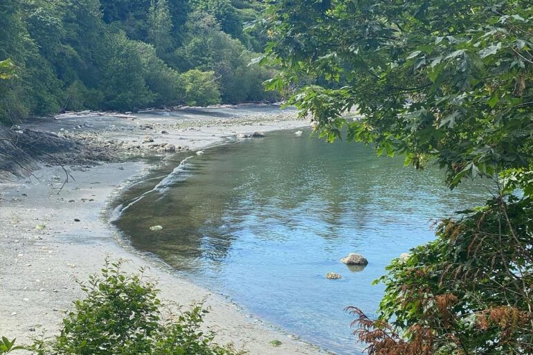 10 Mind-Blowing Hidden Gems in Vancouver Only Locals Know | Noms Magazine