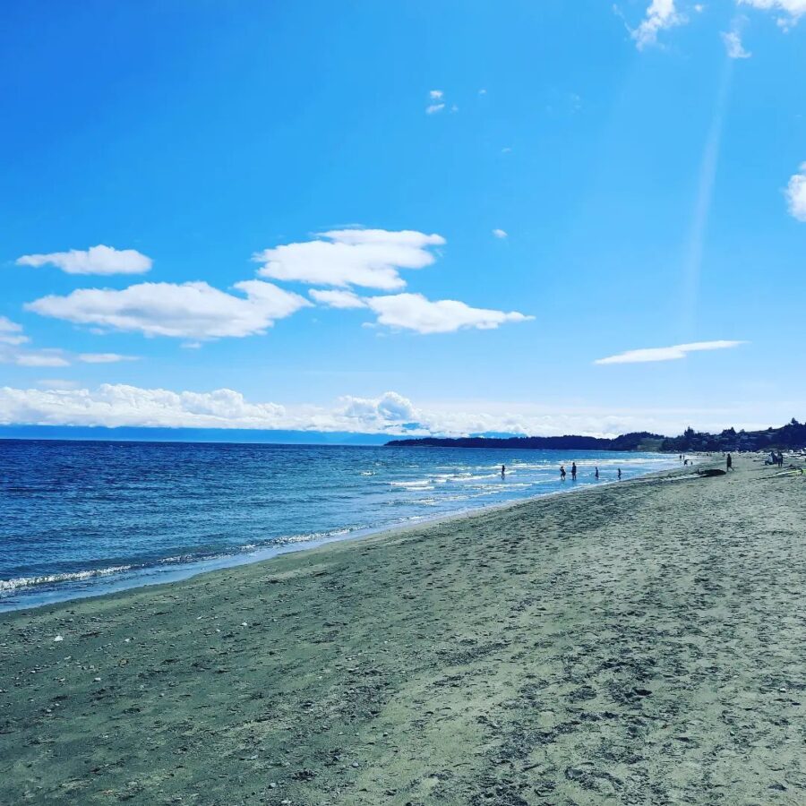 5 Best Beaches in Victoria, BC for Wildlife & Scenic Views