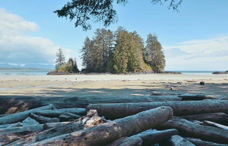 8 Best Tofino Beaches To Explore And Enjoy In 2024