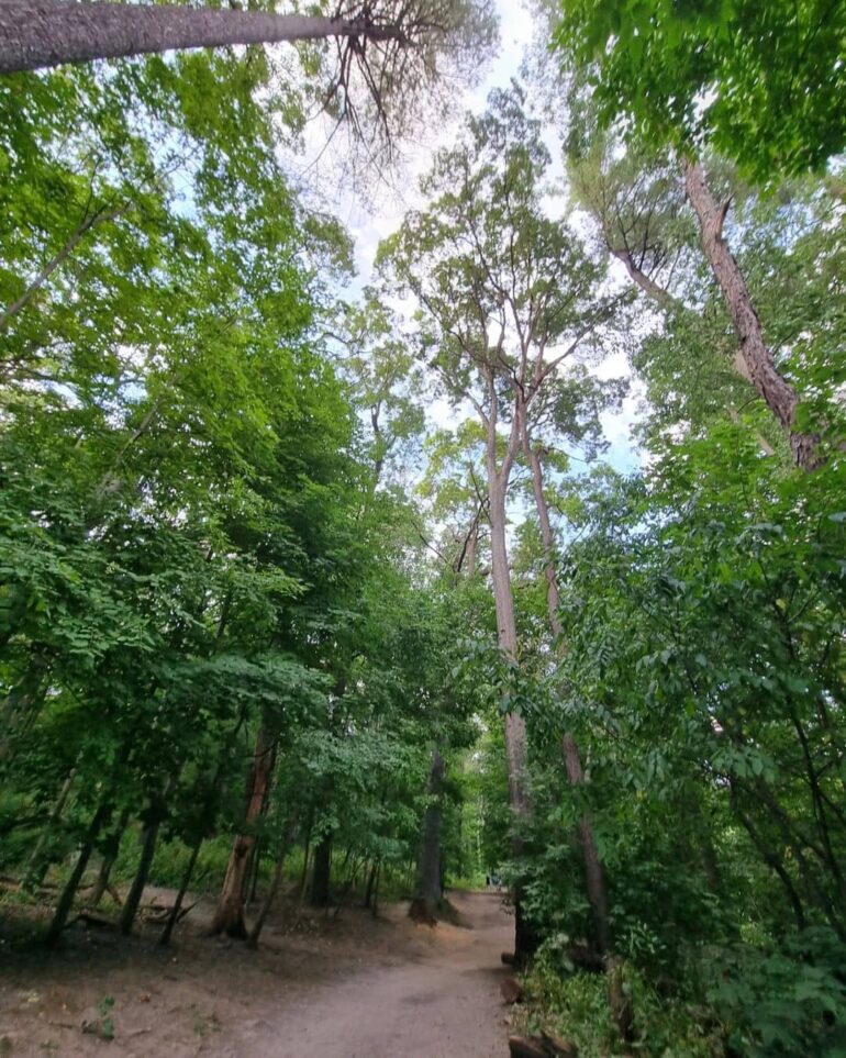 7 Best Hikes/Trails In & Around Toronto For An Outdoor Escape