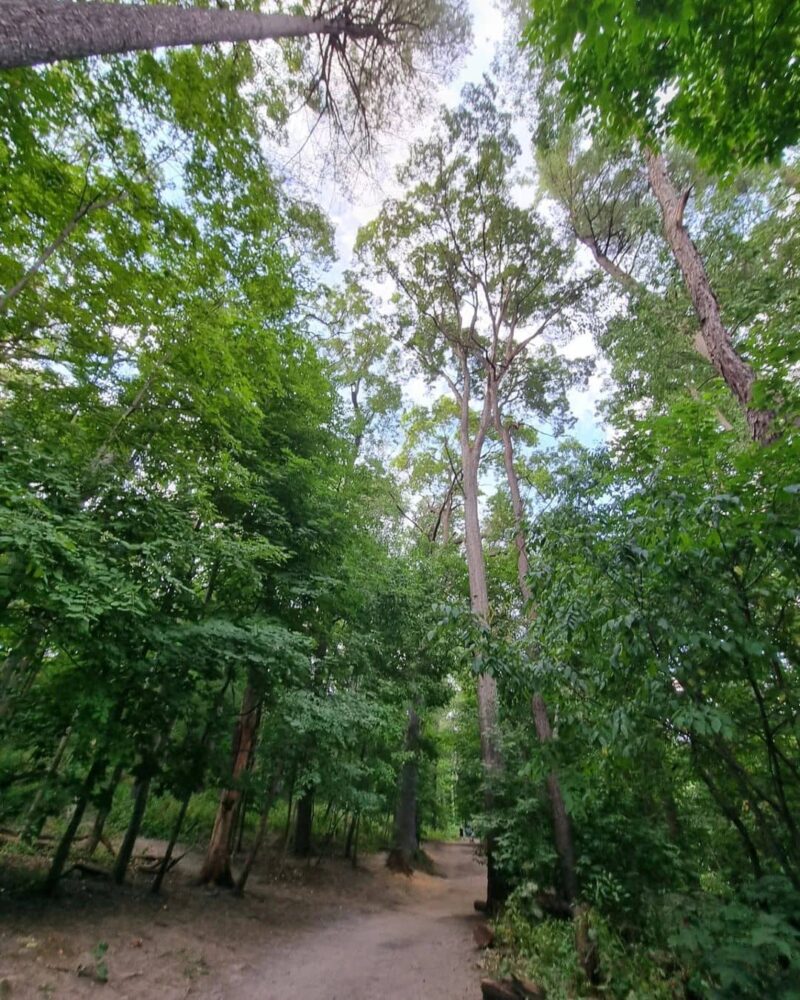7 Best Hikes/Trails In & Around Toronto For An Outdoor Escape