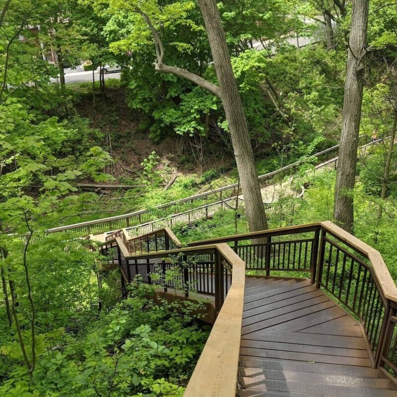 7 Best Hikes/Trails In & Around Toronto For An Outdoor Escape