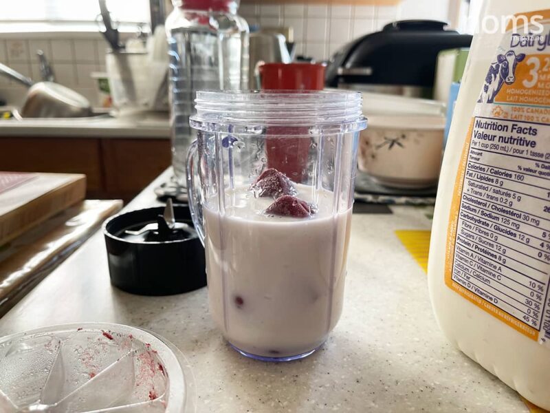 Evive Smoothie Cubes Review - Read Before Buying