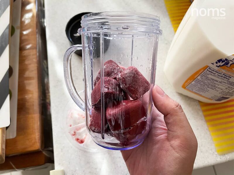 Evive Smoothie Cubes Review - Read Before Buying