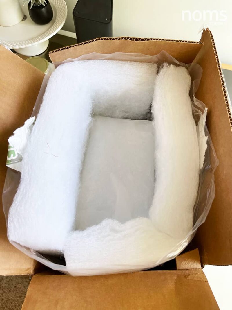 Evive Smoothie Cubes Review - Read Before Buying