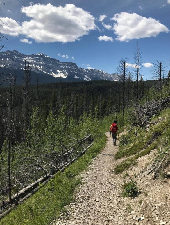 7 Best Hikes In Banff For A Scenic Workout (From Easy to Challenging)