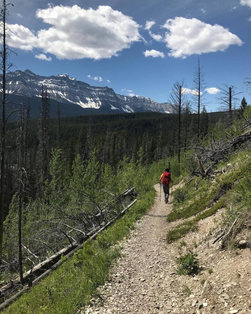7 Best Hikes In Banff For A Scenic Workout (From Easy to Challenging)