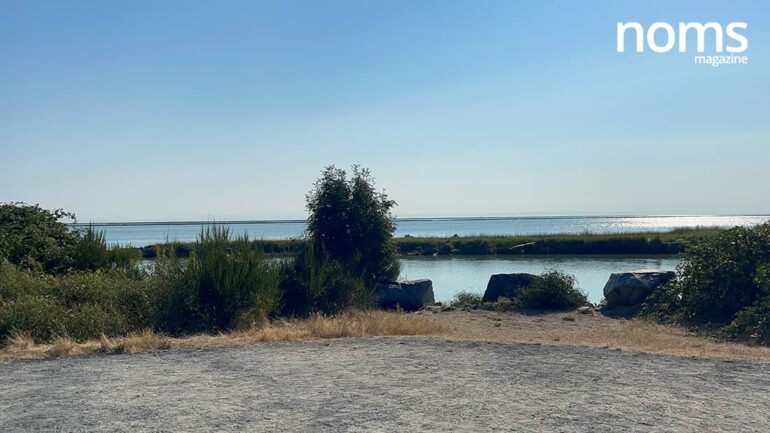 Garry Point Park | Things To Do & See | Vancouver Food Blog