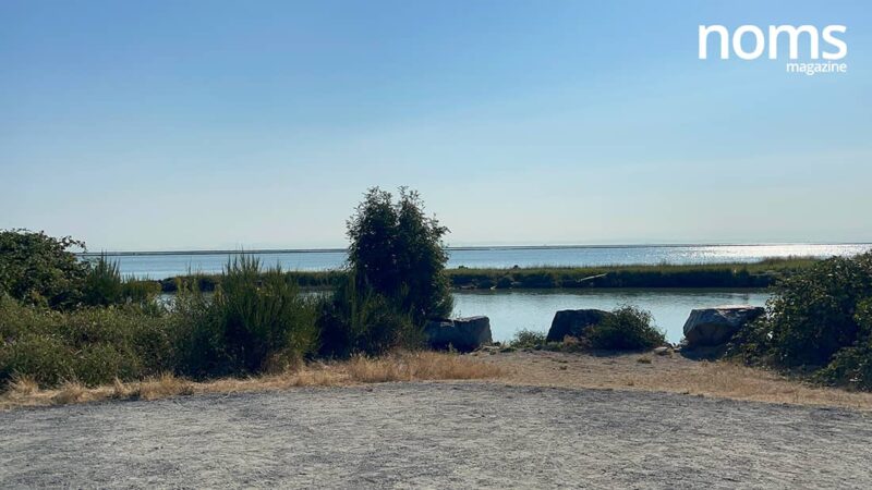 Garry Point Park | Things To Do & See | Vancouver Food Blog