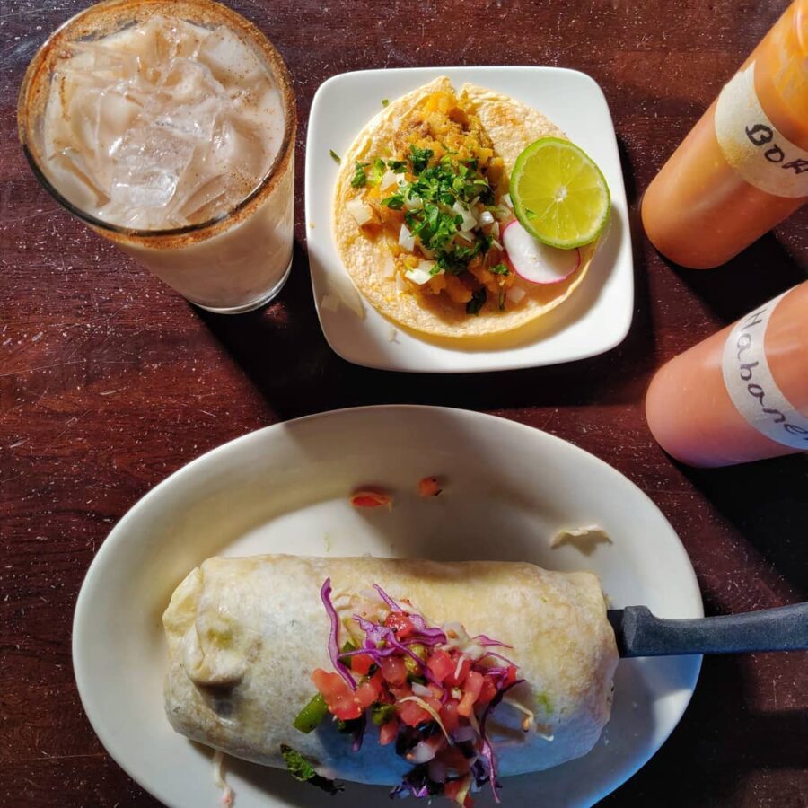 12 Best Vegan Restaurants In Seattle To Eat At (+ What To Order)
