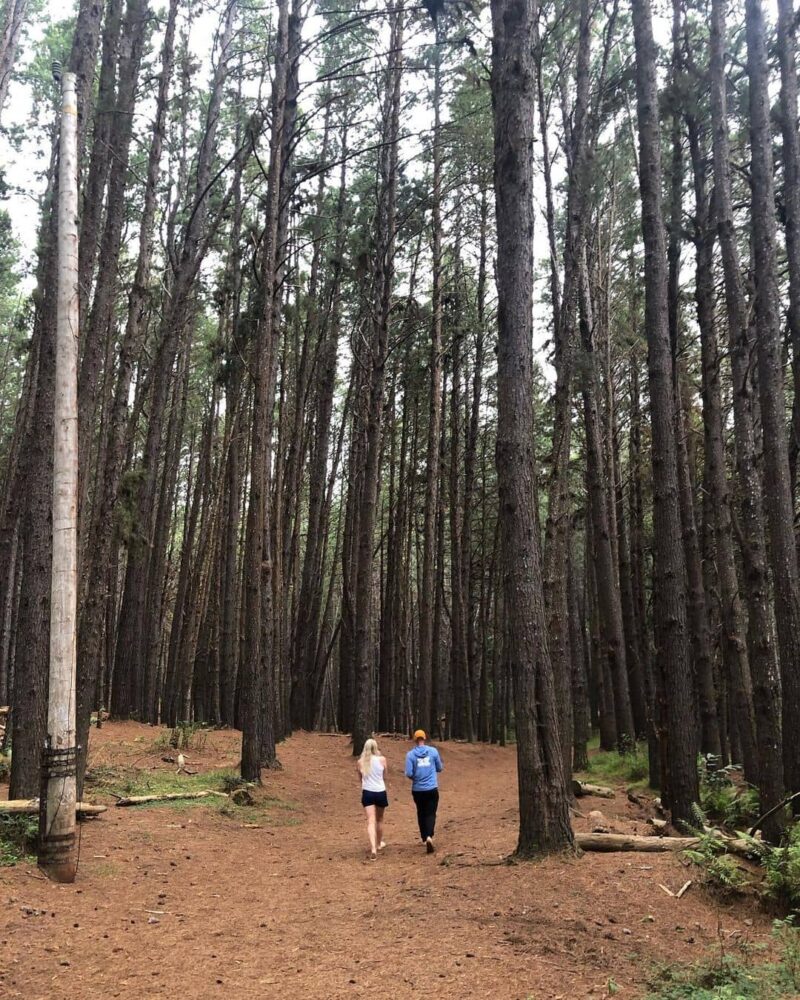 9 Best Maui Hikes And Breaktaking Trails To Explore In 2023