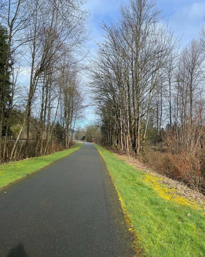 10 Best Hikes Near Seattle For Your Next Scenic Adventure In 2024