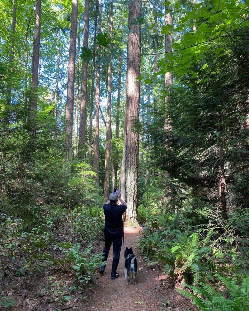 10 Best Hikes Near Seattle For Your Next Scenic Adventure In 2024