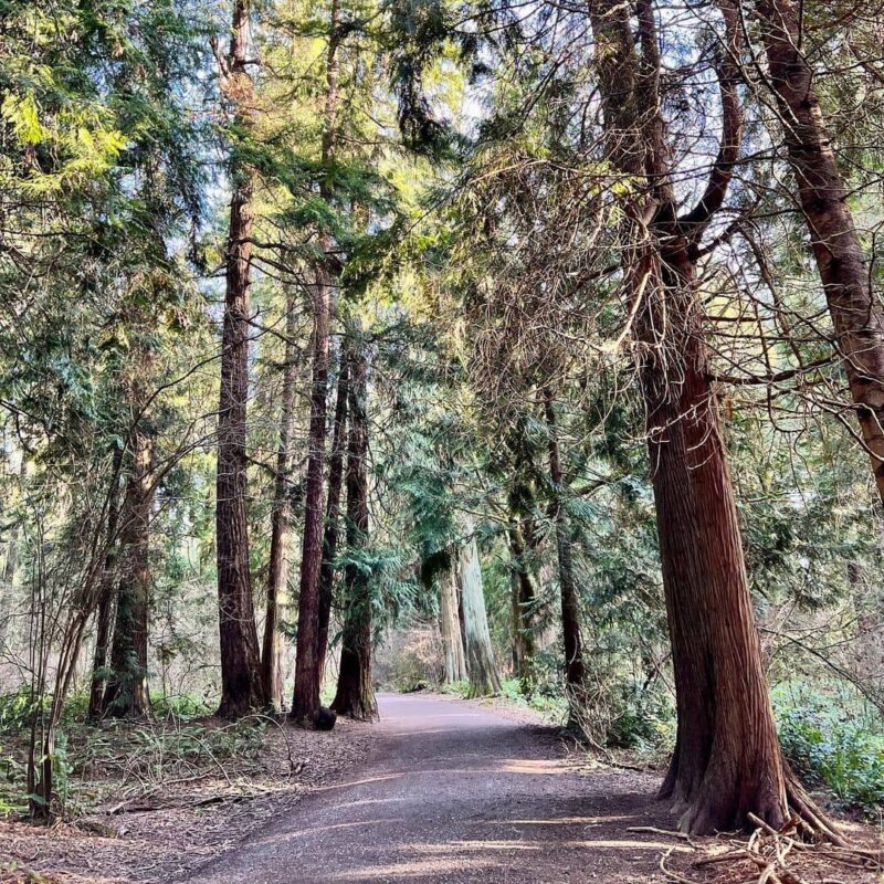 10 Best Hikes Near Seattle For Your Next Scenic Adventure In 2024