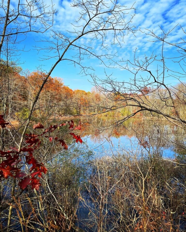 7 Best Day Trips From NYC That Are Less Than 3-Hour Drive & What To Do