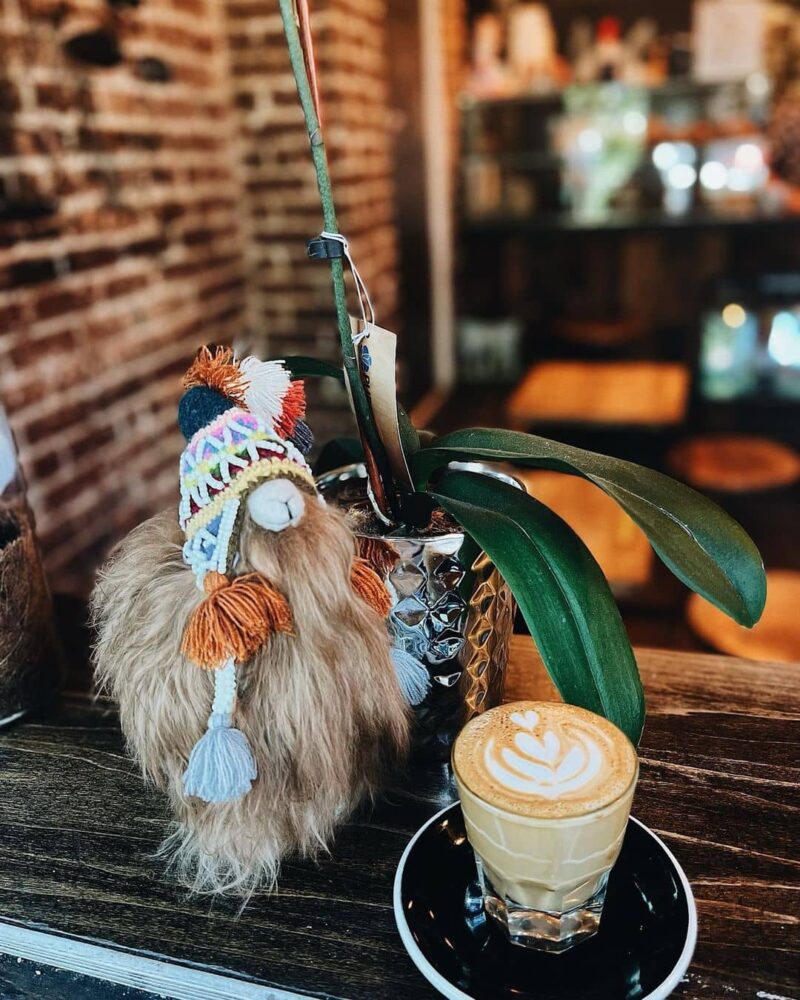 13 Best Coffee Shops In NYC & What To Order (2024)