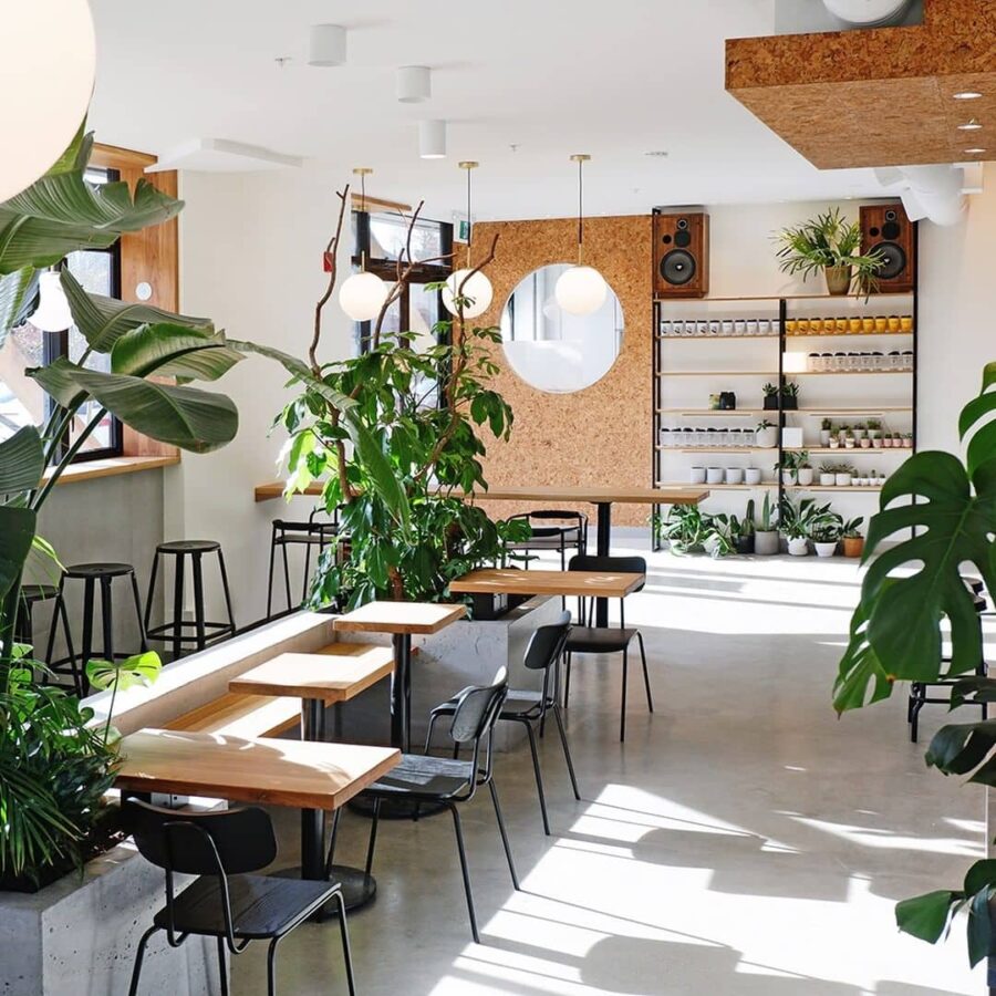 NOMAD Coffee: North Vancouver's Zero Single-Use Cup Cafe To Open In ...