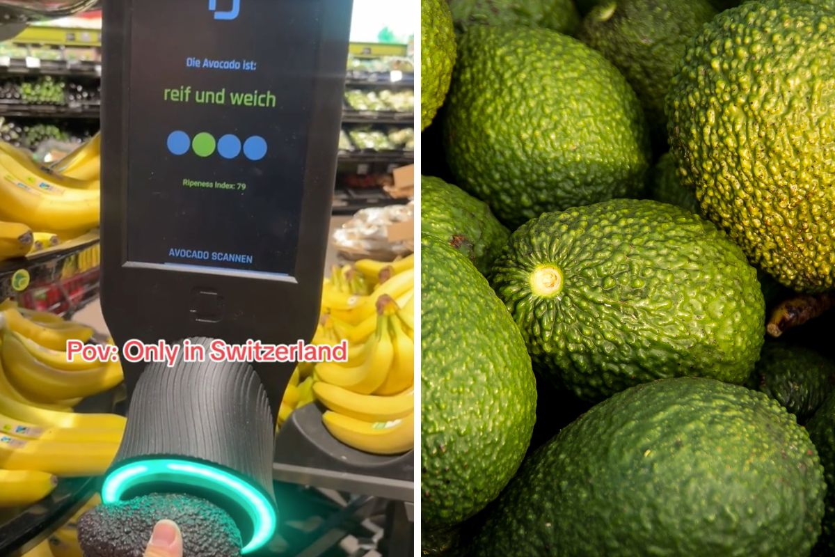 This Scanner Checks Whether An Avocado Is Perfect For Guacamole Or Is ...