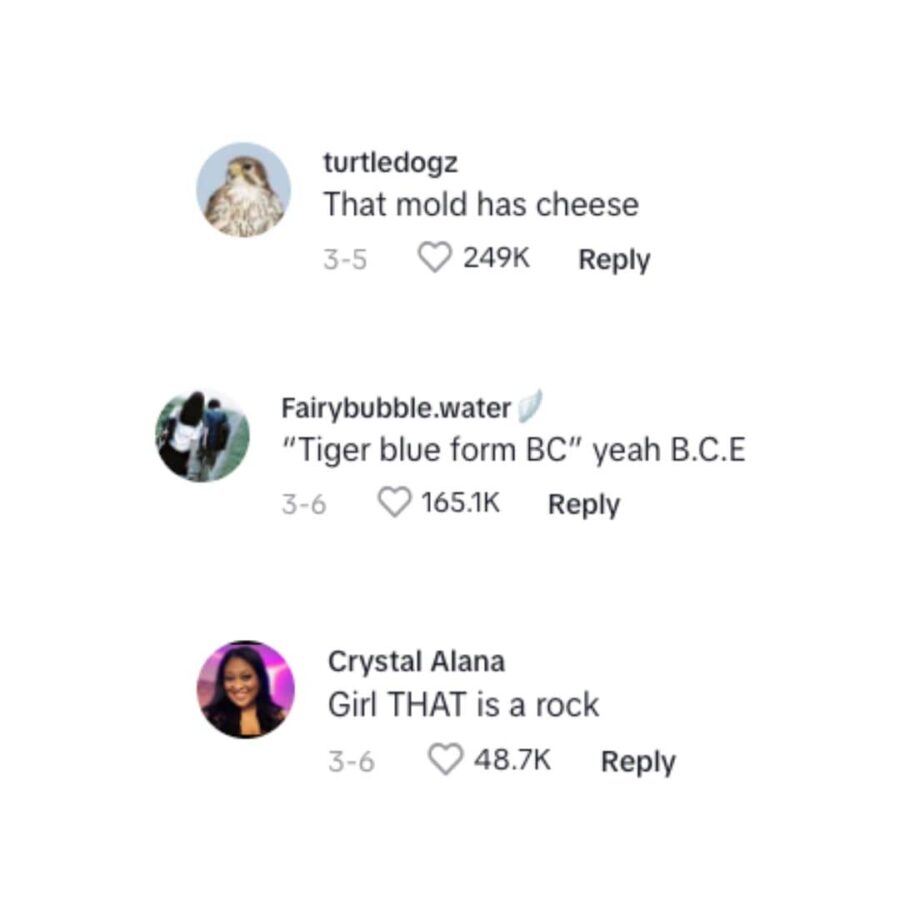 This Viral Cement-Looking Cheese Is Making The Internet Go INSANE