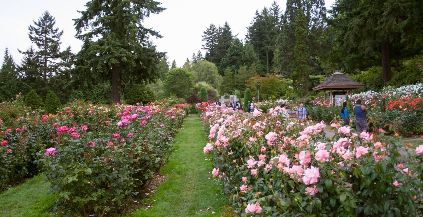 13 Most Visited Attractions in Portland, Oregon That Tourists Should ...