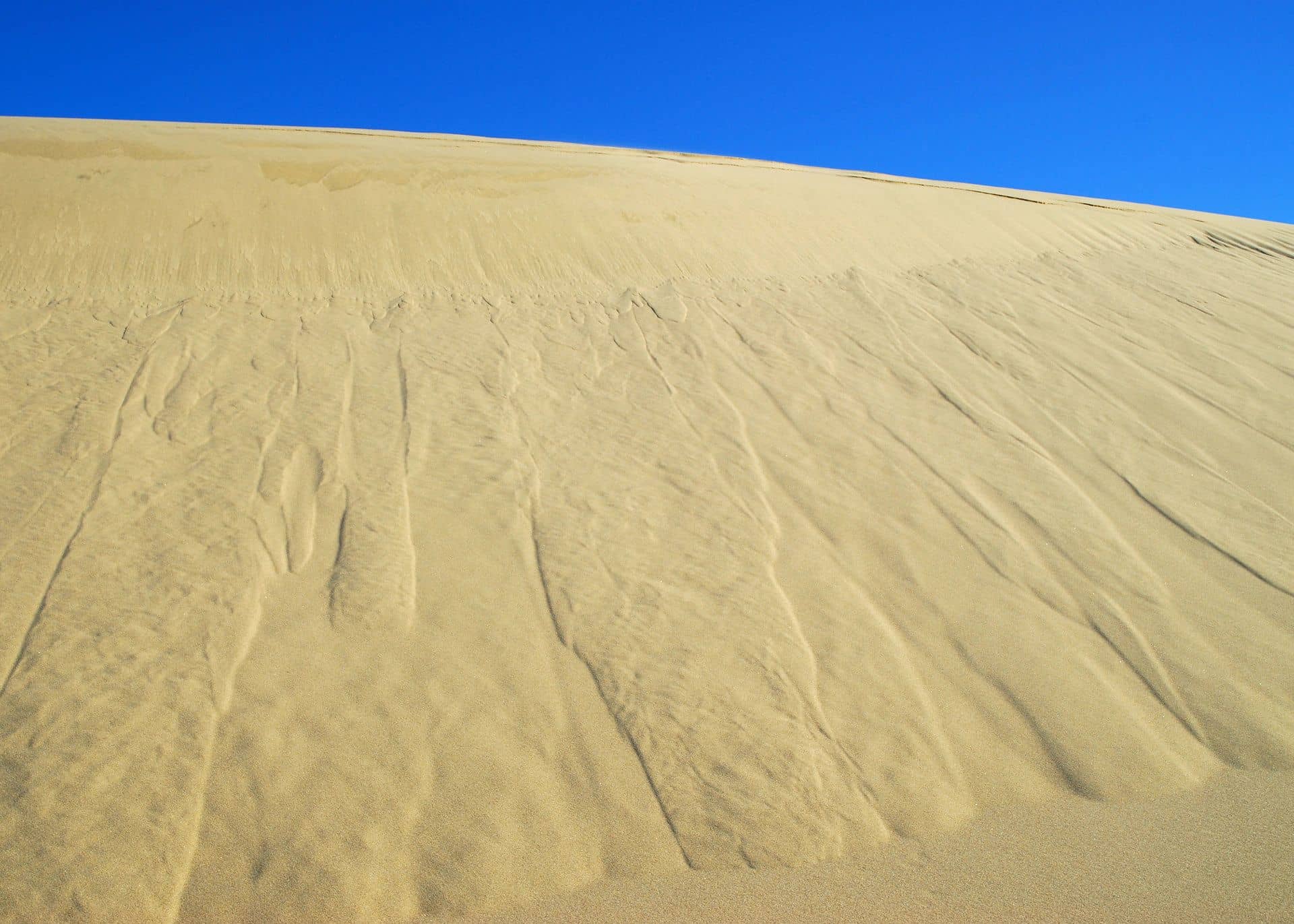 13 Most Visited Attractions in Oregon You Can't Miss