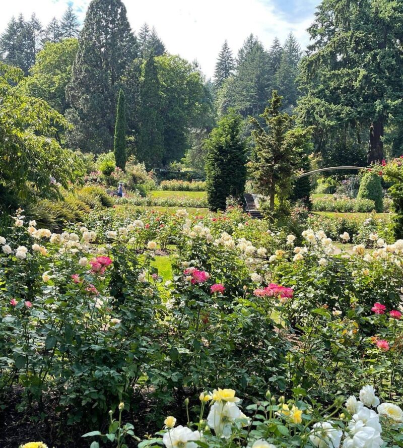 13 Most Visited Attractions in Portland, Oregon That Tourists Should ...