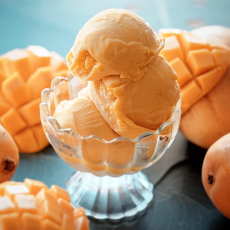 Festival - Sweet Surrender Gelato | Vancouver Food Blog