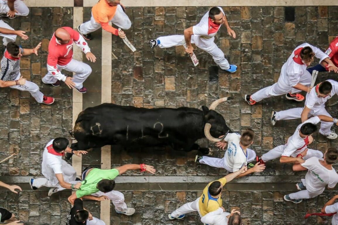 10 Best Donut Spots In Vancouver You Gotta Try In 2024 (+ What To Order)