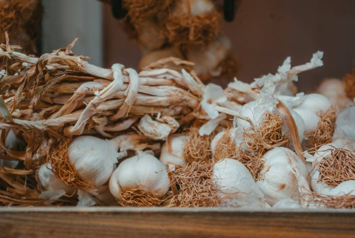 15 Weird Facts About Garlic That Will Clove You Away
