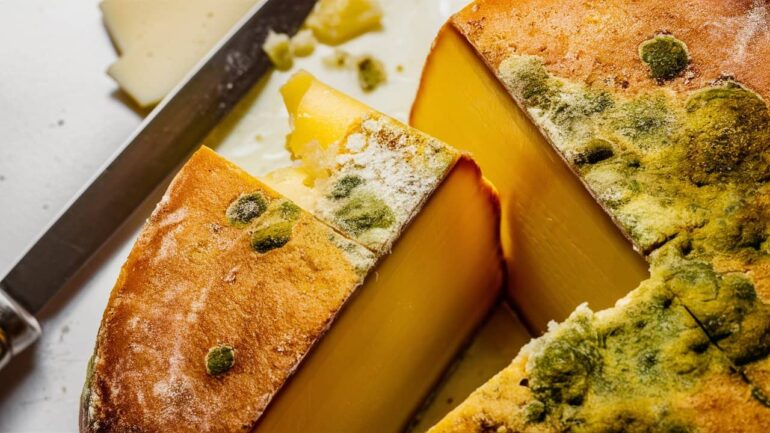 15 Shocking Cheese Facts That Will Melt Your Mind