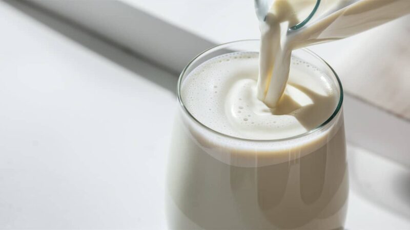 13 Strange Milk Facts That Are Udderly Fascinating