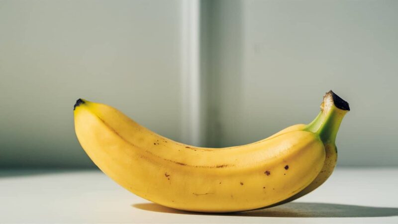 15 Wild Banana Facts They’ll Peel Back Everything You Thought You Knew